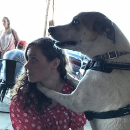 Julia Ries Wexler’s Profile | Freelance Journalist | Muck Rack