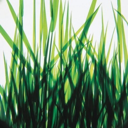 Michael James Rocha’s Profile | The San Diego Union-Tribune Journalist ...