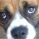 Phyllis M Daugherty’s Profile | CityWatchLA Journalist | Muck Rack