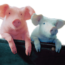 Jack Gleason’s Profile | American Thinker Journalist | Muck Rack