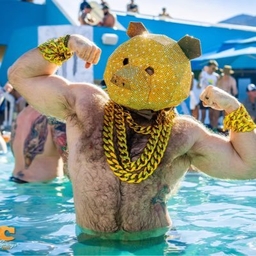 Hunter Harden’s Profile | The Real HouseBears Podcast Journalist | Muck ...