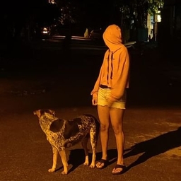 Vithi Joat’s Profile | The Bridge (India) Journalist | Muck Rack