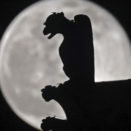 Benjamin Legendre’s Profile | Agence France-Presse (AFP) Journalist ...