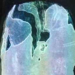 Aneirin Karadog’s Profile | Clera Journalist | Muck Rack