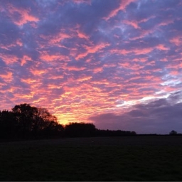 Sam Kiley’s Profile | The Independent (UK) Journalist | Muck Rack