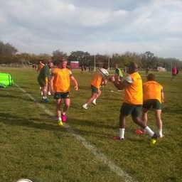 Mlamli Maneli’s Profile | South African Broadcasting Corporation (SABC ...