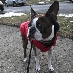 Andy Downing’s Profile | Matter News Journalist | Muck Rack