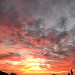 Christine Pae’s Profile | KING-TV (Seattle, WA) Journalist | Muck Rack