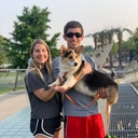 Ethan Steinberg’s Profile | CNN, CNN Underscored, Bloomberg Green Daily ...