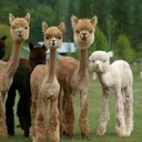 Stephanie Becker’s Profile | CNN, CNN en Español, MSN (US) Journalist ...