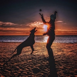 Rory E. Riley-Topping’s Profile | The Hill, Spectrum News 1 Ohio ...