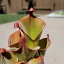 Mitch Wallace’s Profile | Forbes Journalist | Muck Rack