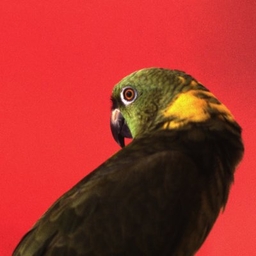 Alex Greenberger’s Profile | ARTnews Journalist | Muck Rack