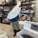 Loco Fish Co’s Profile | Muck Rack