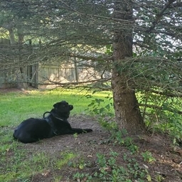 Gabriel S Esparza’s Profile | Husker Corner, Total Apex Sports ...