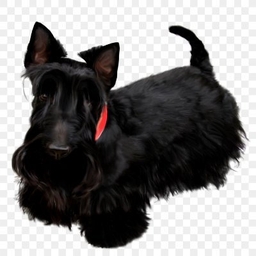 Kim Brown’s Profile | Muck Rack