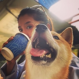 Wei Du’s Profile | Channel NewsAsia Journalist | Muck Rack