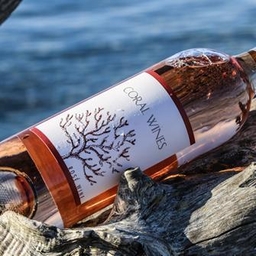 Christopher Chan’s Profile | Freelance Journalist | Muck Rack