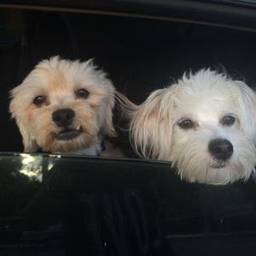 Michael Funches’s Profile | KSPN-AM (Los Angeles, CA) Journalist | Muck ...