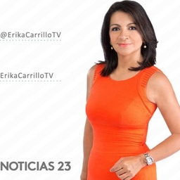 Erika Carrillo’s Profile | Miami Herald, KABE-TV (Bakersfield, CA), WLTV-TV (Miami, FL ...