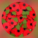 Dominic Evans’s Profile | Reuters Journalist | Muck Rack