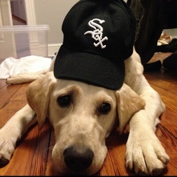 Reid Epstein’s Profile | The New York Times Journalist | Muck Rack