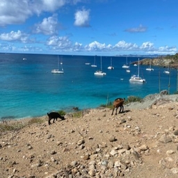 Kebe Rapaport’s Profile | Rapaport's Reality with Kebe & Michael ...