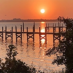 Kathy Laskowski’s Profile | South Florida Sun Sentinel Journalist ...