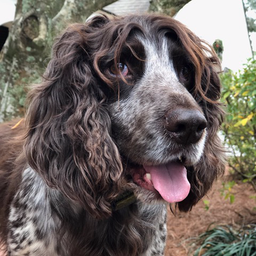 Christopher Stern’s Profile | Publicist Paper Journalist | Muck Rack