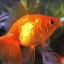 A. Stacy Long’s Profile | TimesDaily Journalist | Muck Rack