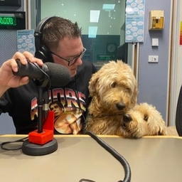 Phil Staley’s Profile | MSN Australia, ABC Far North, ABC News ...