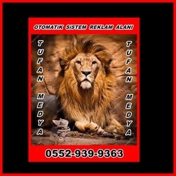 David Chartier’s Profile | Medium, Engadget, Ars Technica Journalist ...