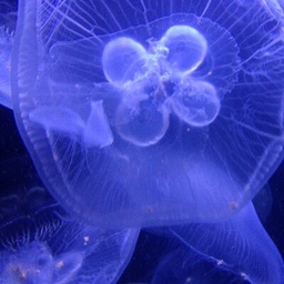 Yves Junqua’s Profile | France Télévisions Journalist | Muck Rack