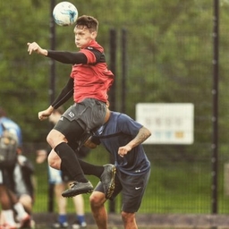 Declan Taylor’s Profile | Ring Magazine Journalist | Muck Rack