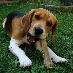 Matthew Taylor’s Profile | The Guardian Journalist | Muck Rack