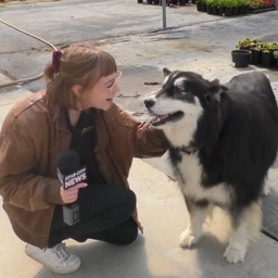 Emily Slater’s Profile | WPBY-LD (Lafayette, IN) Journalist | Muck Rack