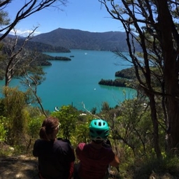 Sally Kidson’s Profile | MSN New Zealand, Manawatū Standard, Stuff.co ...