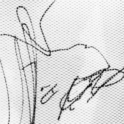 Charles Homans’s Profile | The New York Times, The New York Times ...