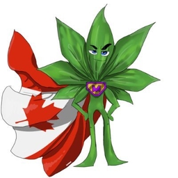 Louis Kyron’s Profile | CannaInvestor Magazine Journalist | Muck Rack