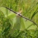 Scott Brand’s Profile | Bandcamp Daily, Washington Times, Kansas City ...