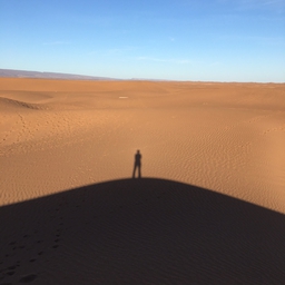 Cynthia Rosenfeld’s Profile | Freelance Journalist | Muck Rack