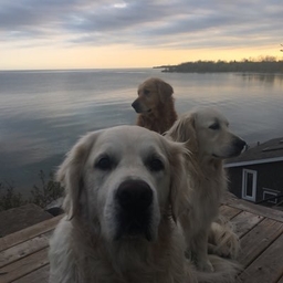 John Steigerwald’s Profile | WPGP-AM (Pittsburgh, PA), The John ...