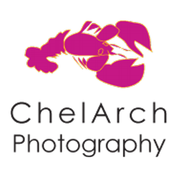 Chelsea Archer’s Profile | The Hollywood Reporter Journalist | Muck Rack