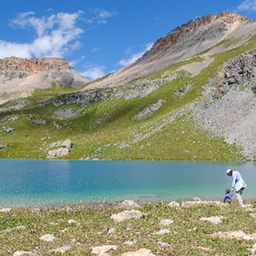 Nicholas Riccardi’s Profile | Associated Press Journalist | Muck Rack