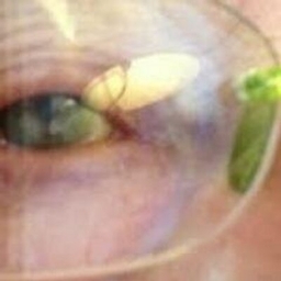 Jennifer Merin’s Profile | Freelance Journalist | Muck Rack