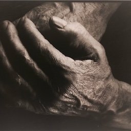 Hannah Gal’s Profile | The Times of Israel Journalist | Muck Rack