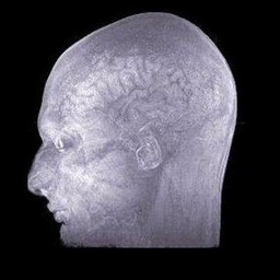 Vaughan Bell’s Profile | The Guardian, Color Research & Application ...