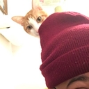 Jonathan Greig’s Profile | The Record from Recorded Future News ...