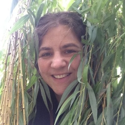 Ellie Levenson’s Profile | Freelance Journalist | Muck Rack