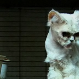 Jonathan Allen’s Profile | Reuters Journalist | Muck Rack